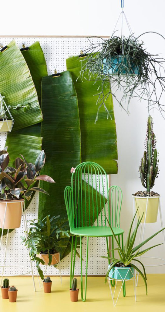 20 Incredible Jungle Fever To All Rooms | HomeMydesign