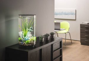 35 Modern Mini Aquarium Designs For Your Small Spaces | HomeMydesign