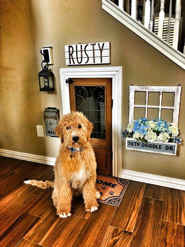 27 Dog Room Under Stairs Ideas You Don t Want To Miss