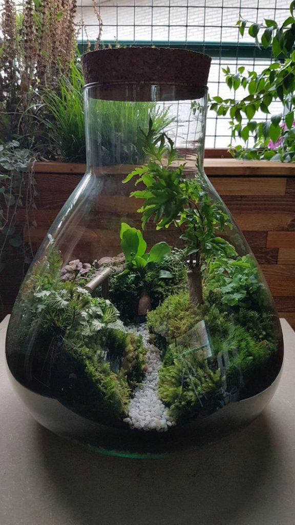 How To Make Mini Terrarium Ideas For Indoor | HomeMydesign