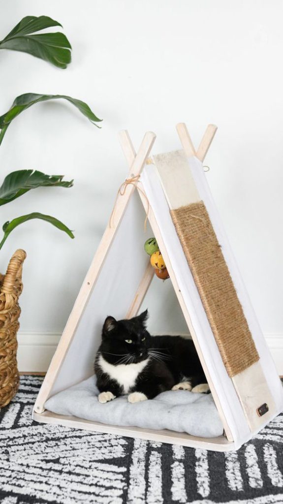 10 Easy DIY Cats Projects For Your Home | HomeMydesign