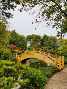 21 Most Beautiful Bridge Ideas For Your Garden | HomeMydesign