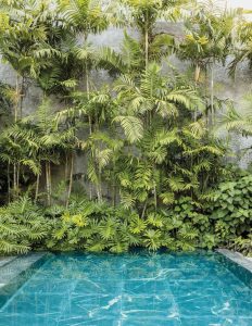 25 Relaxing Tropical Pool Gardens For Summer | HomeMydesign