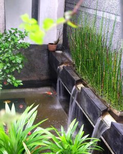 20 Small And Modern Koi Fish Pond Designs | HomeMydesign