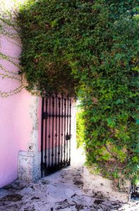 12 Adorable Pink Garden Decor You’ll Must Have | HomeMydesign