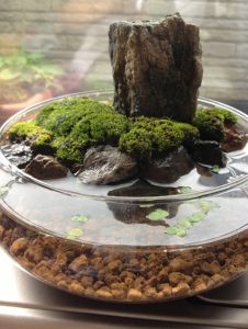 20 Awesome Mini Water Gardens For Your Indoor | HomeMydesign