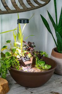 20 Awesome Mini Water Gardens For Your Indoor | HomeMydesign