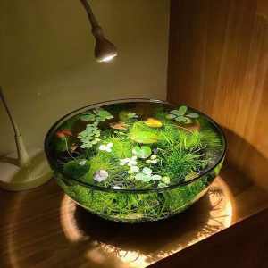 20 Awesome Mini Water Gardens For Your Indoor | HomeMydesign