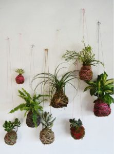 20 Unique And Aesthetic Kokedama Planter Ideas | HomeMydesign