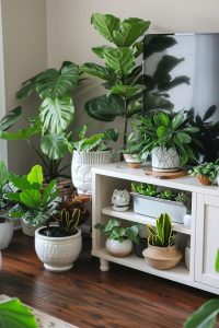 20 Fresh Indoor Plants Decor For TV Stand | HomeMydesign