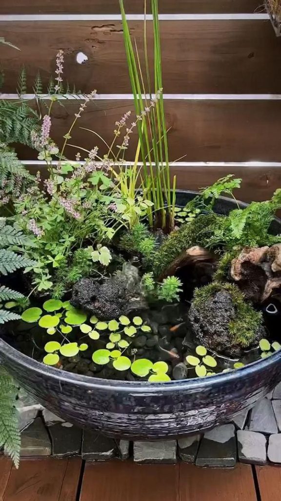 20 Easy DIY Balcony Pond Ideas For Small Oasis | HomeMydesign