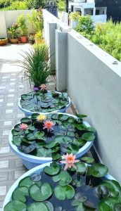 20 Easy DIY Balcony Pond Ideas For Small Oasis | HomeMydesign